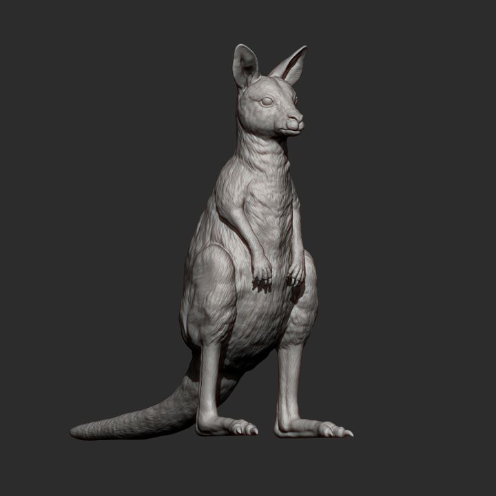 3D Printable Baby kangaroo by AKUZMENKO